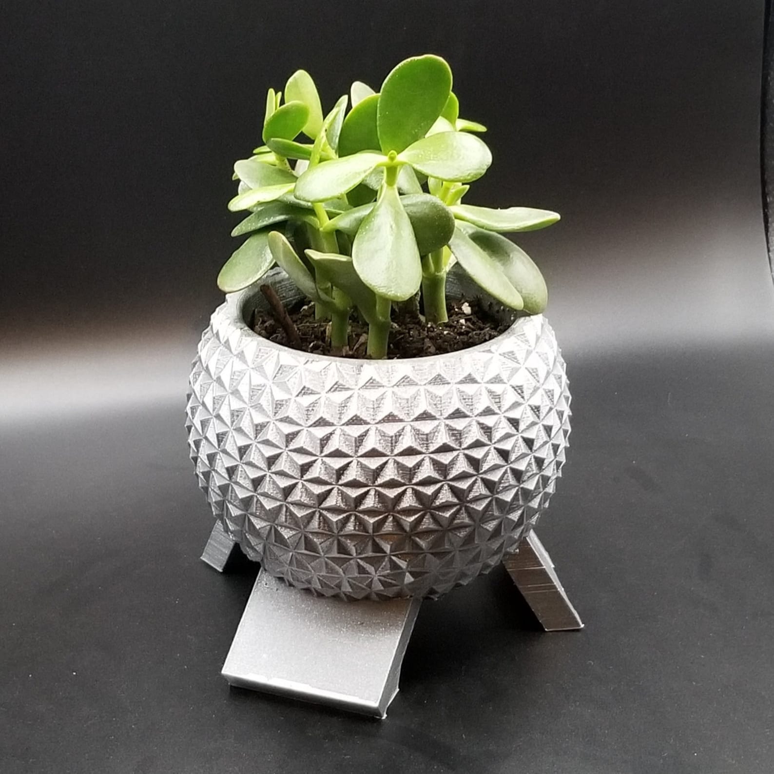 Keep Spaceship Earth Forever With These Succulent Planters