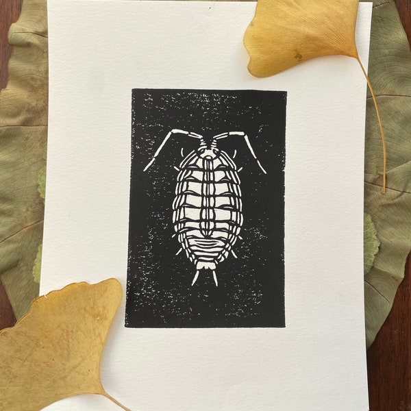 Isopod Print - Etsy