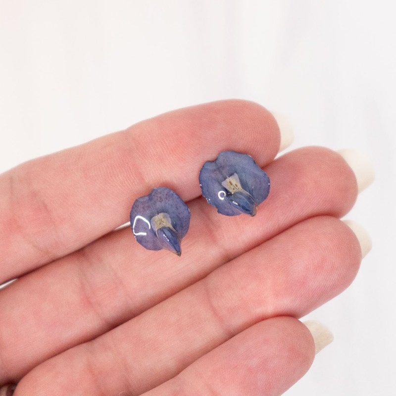 Bluebonnet Earrings - Etsy