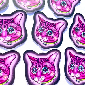 Lil Peep Cat Sticker, Pink Cat Sticker, Lil Peep Inspired Sticker ...