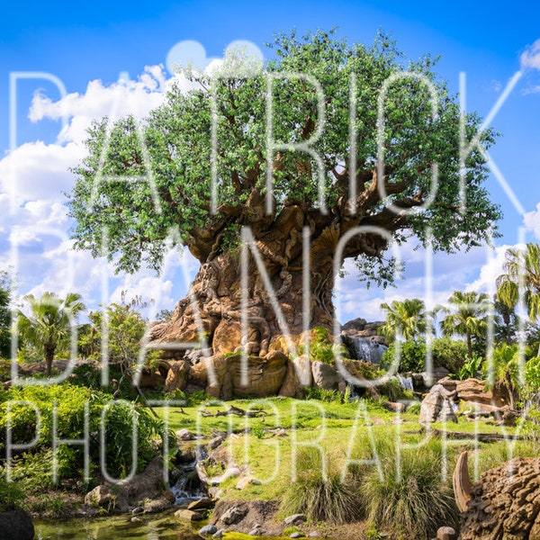 Animal Kingdom Tree of Life Png - Etsy