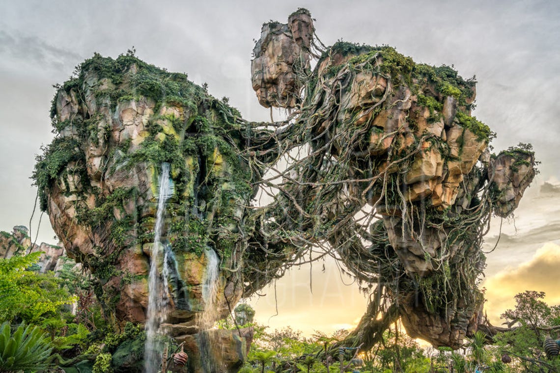 Floating Mountains - Photo Prints and Canvas Wraps, Animal Kingdom ...