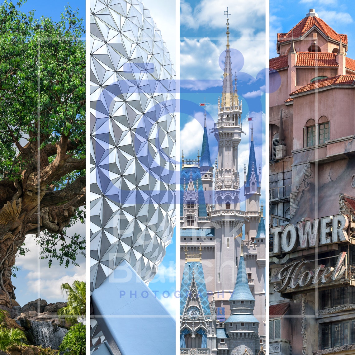 Walt Disney World Park Icons Series - Photo Print or Canvas Wrap, Magic ...