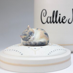Cat Urn: Calico Cat, Dilute add Your Cat's Portrait/name Custom Urn for ...
