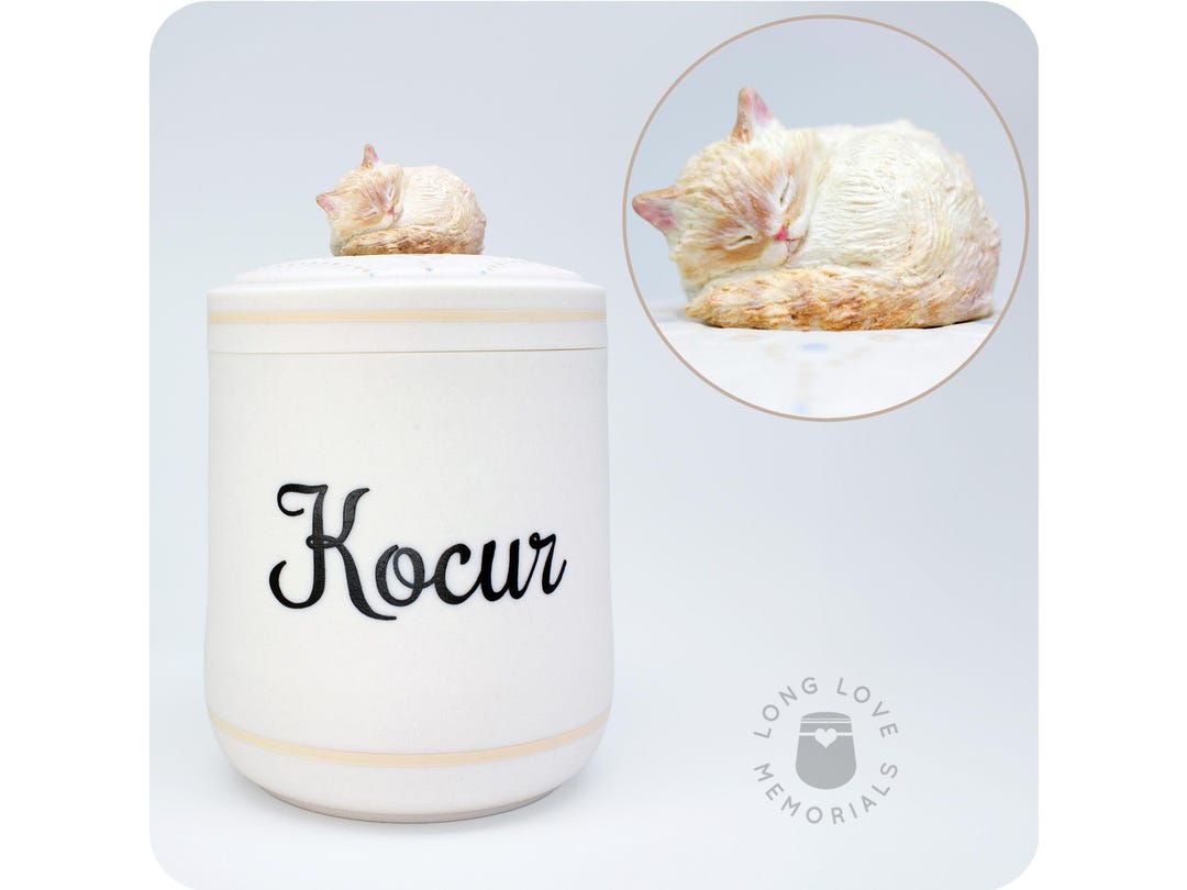 Cat Urn Long Hair Cat Orange Tabby Cat Art Custom Urn for Cat Ashes ...