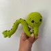 Inchworm, Stuffed Inchworm, Worm. Stiffed Worm Girls, Boys, Bug, Gift ...