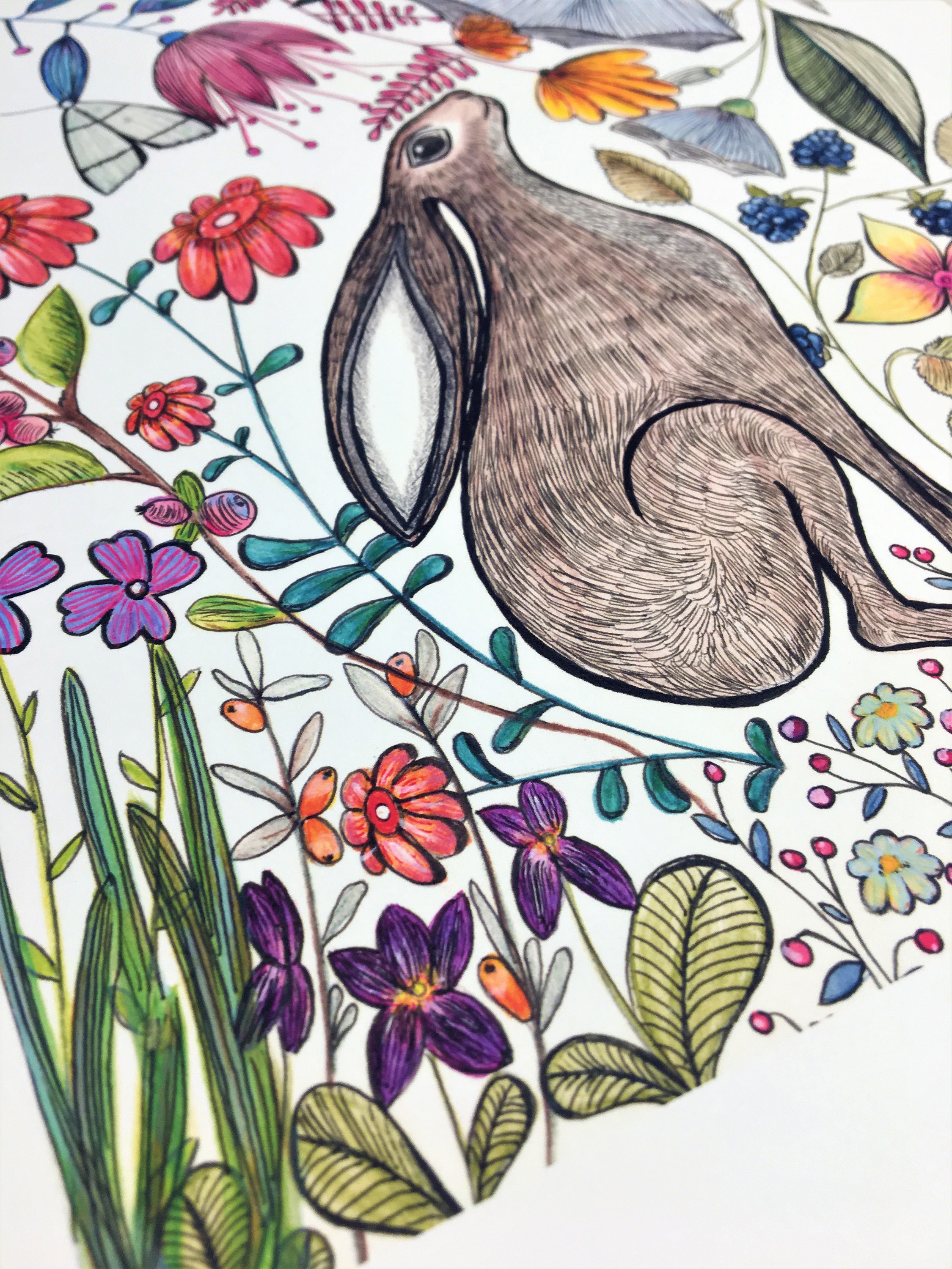 Hare Wall Art Hares Woodland Animal Printa4 Art Printhome | Etsy UK