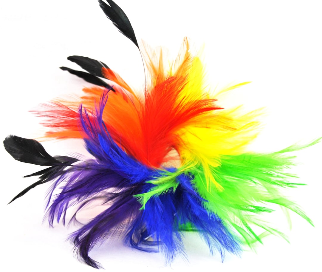 Rainbow / Pride Themed Bendable Feather Hair-clip or Brooch Red, Orange ...