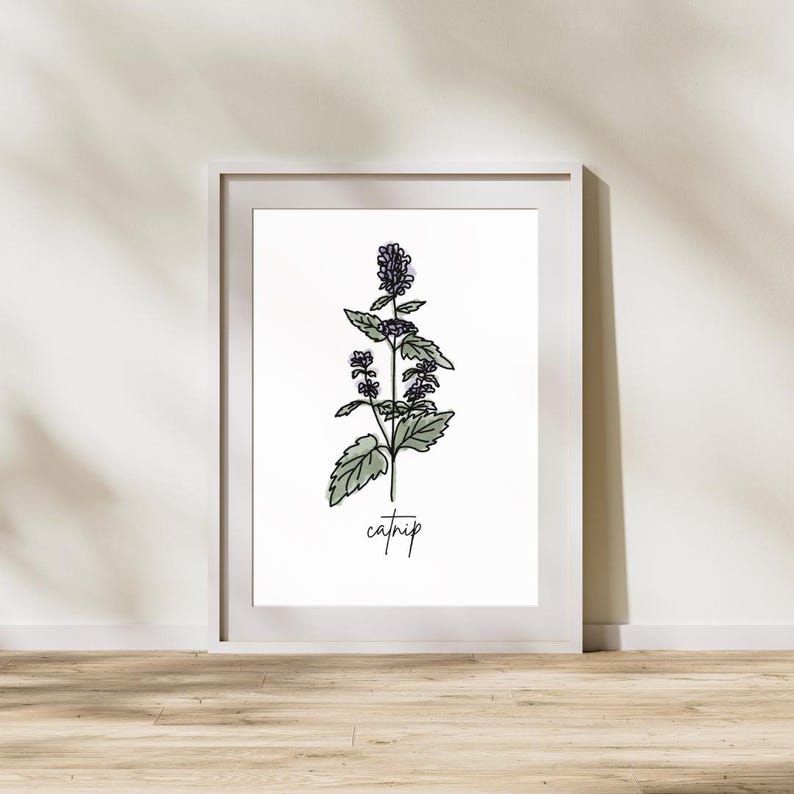 Catnip Herb 5x7 Watercolor Print - *instant Download* - Etsy