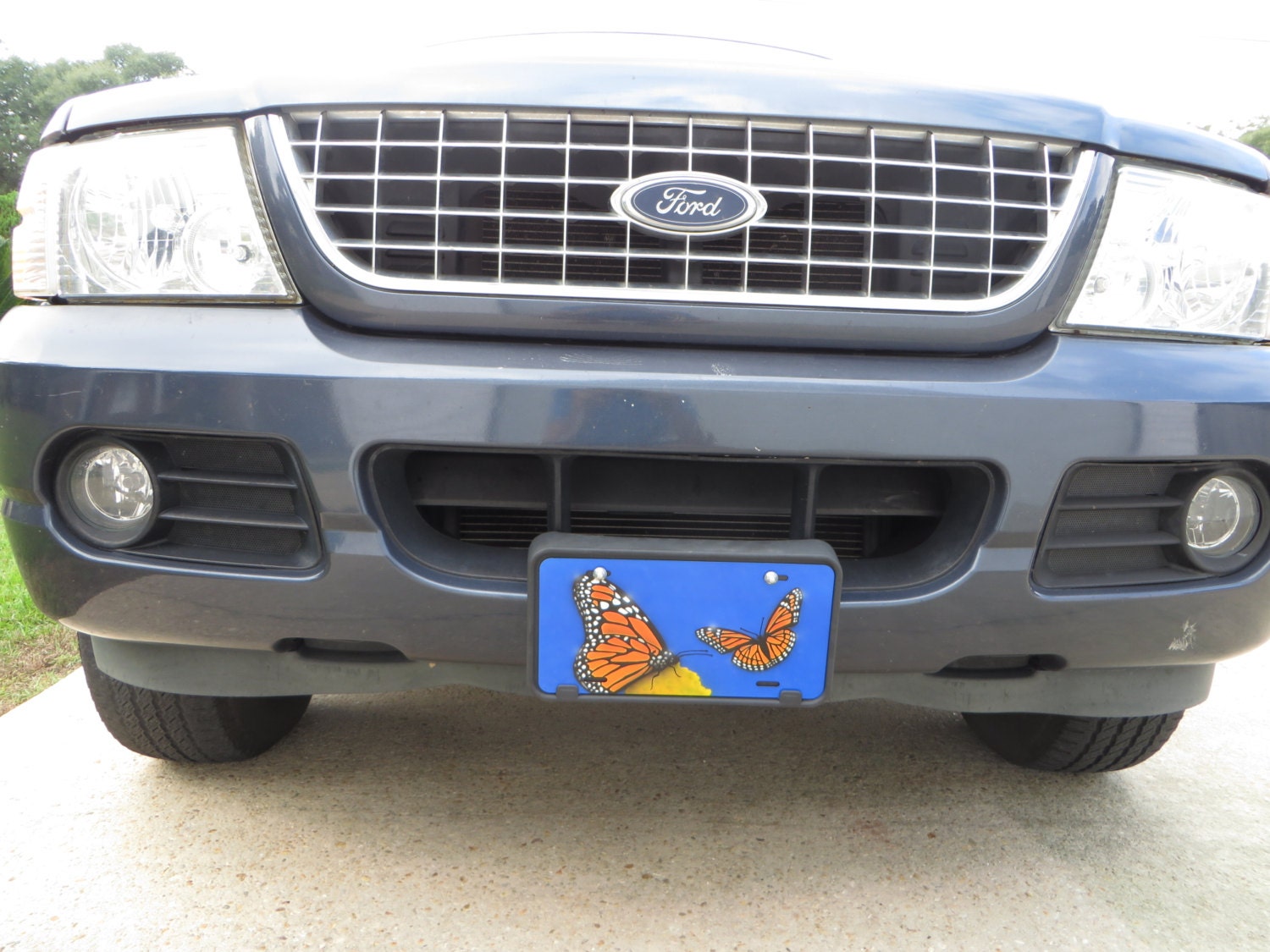 Butterfly Airbrushed License Plate - Etsy