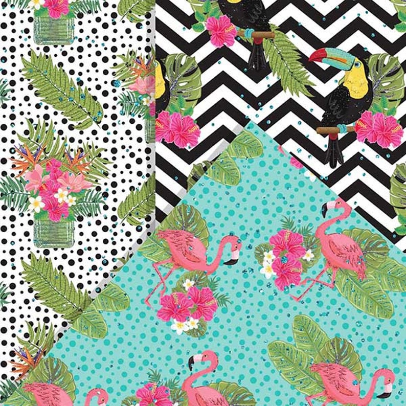 Tropical Birds Birds Digital Paper Set Seamless Pattern | Etsy