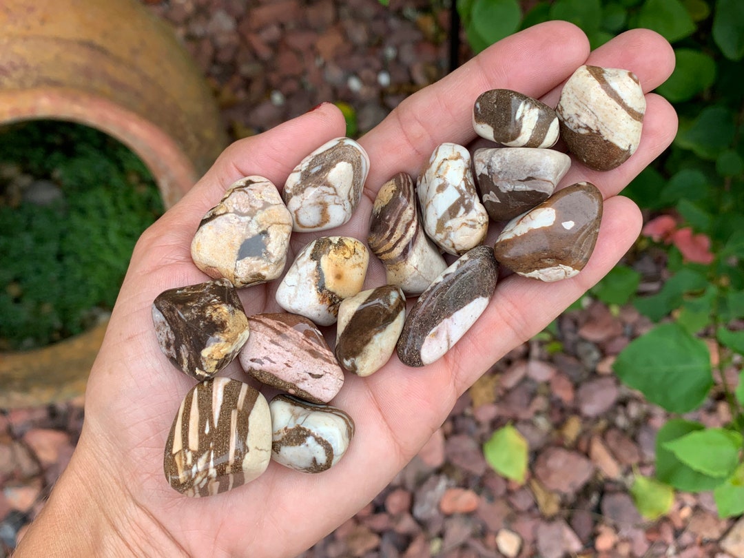 Small Brown Zebra Jasper, Tumbled Zebra Jasper, Nungi Jasper, Chocolate ...