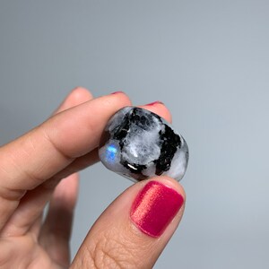Medium Rainbow Moonstone, Tumbled Rainbow Moonstone, Blue Flash ...