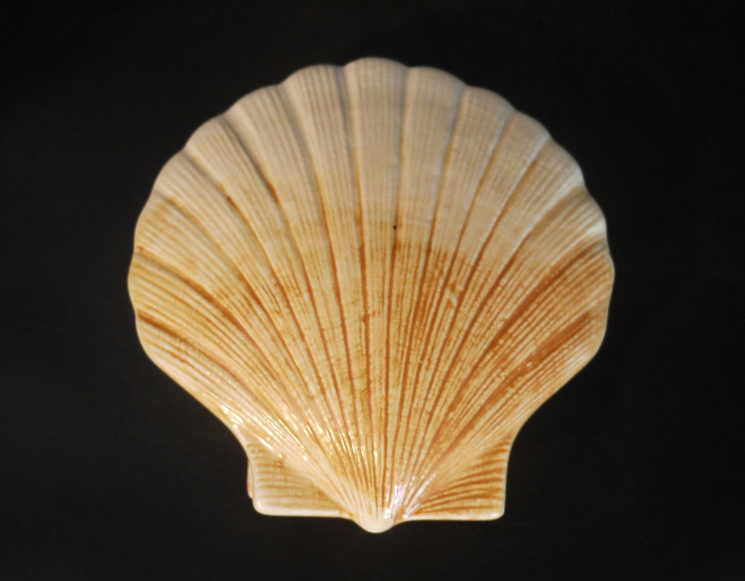 Vintage Ceramic Clam Shell Dish French Decorative Terrine Pate Dish by ...