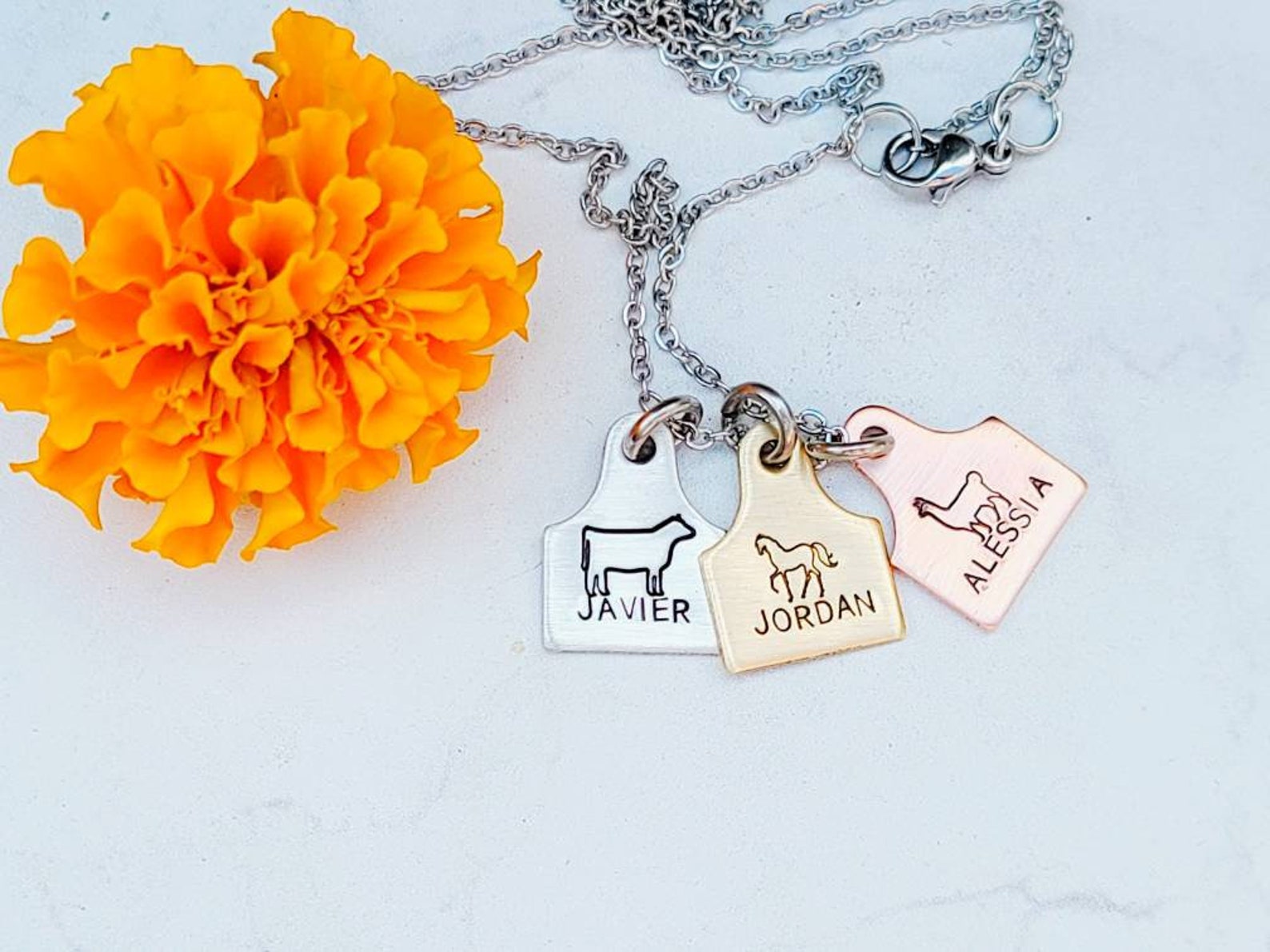 Tiny Mixed Metal Ear Tag Multiple Ear Tags Kids Names - Etsy