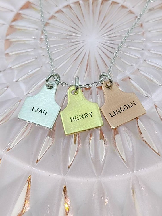 Tiny mixed metal ear tag multiple ear tags kids names | Etsy