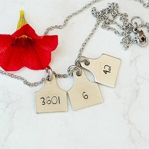 Tiny Ear Tag, Mixed Metal Tag, Multiple Ear Tags, Cow Necklace, Sheep ...