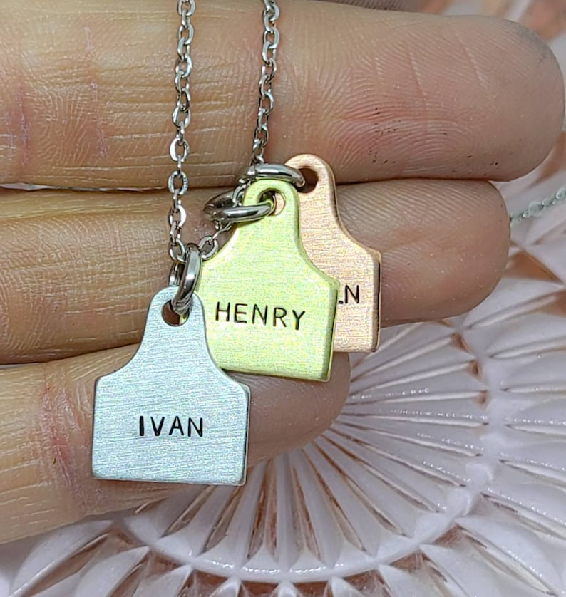 Tiny mixed metal ear tag multiple ear tags kids names | Etsy