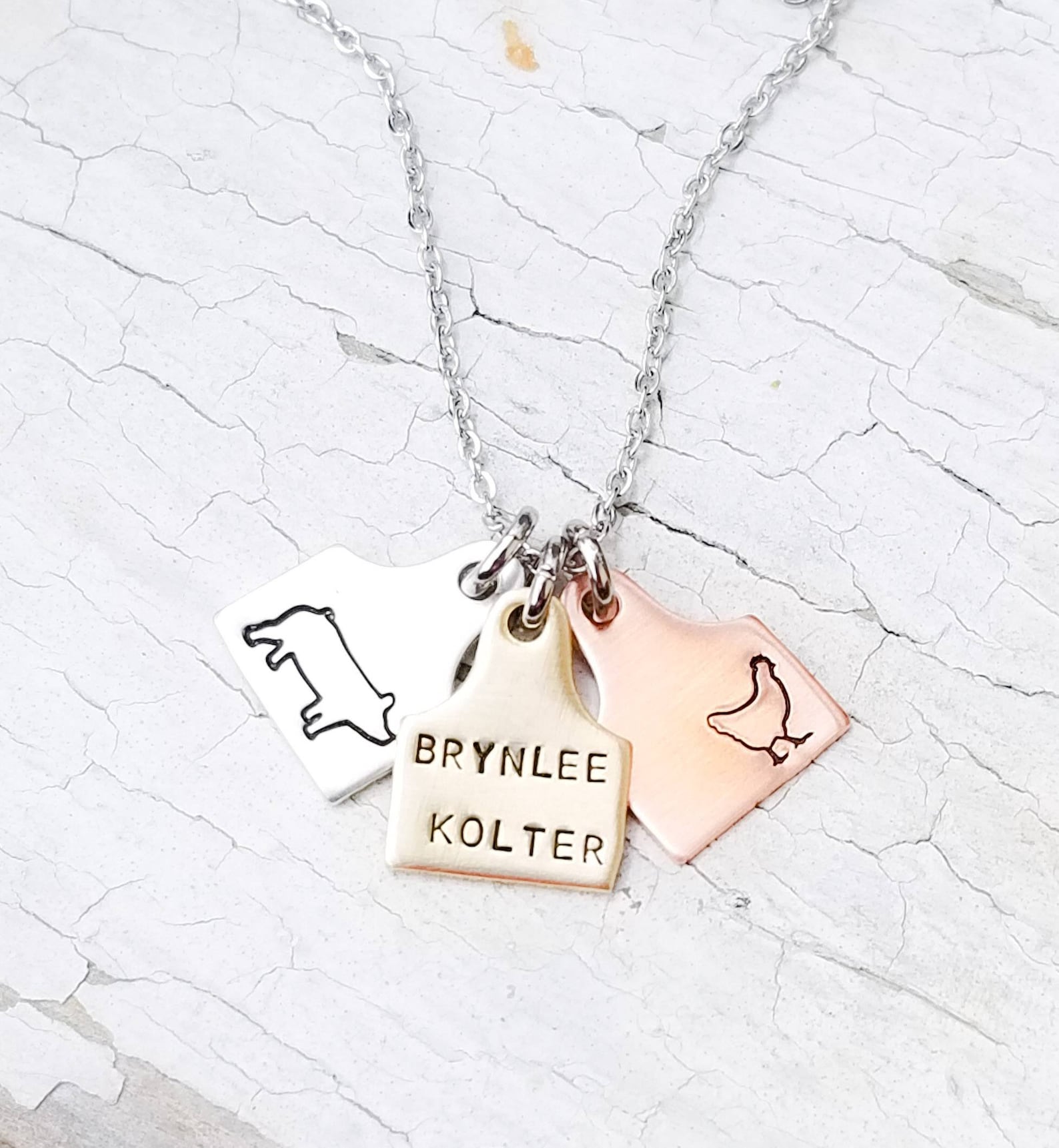 Tiny mixed metal ear tag multiple ear tags kids names | Etsy