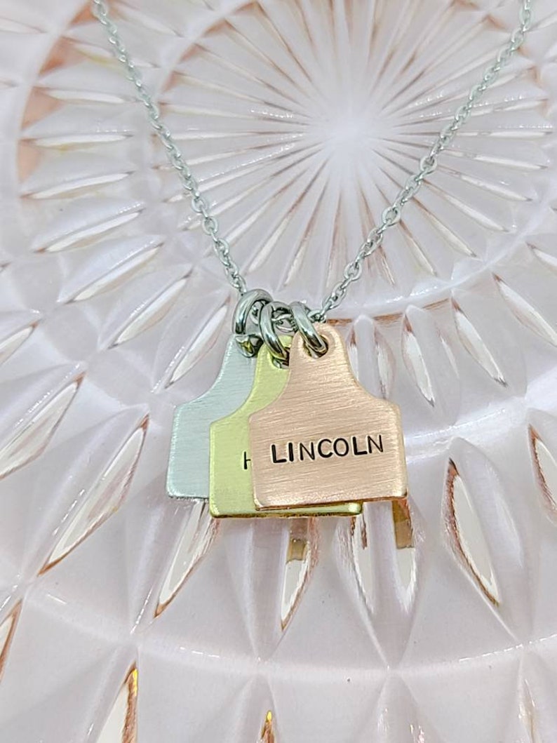 Tiny mixed metal ear tag multiple ear tags kids names | Etsy