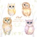 Watercolor Owl Clipart woodland Illustration Hand painted | Etsy