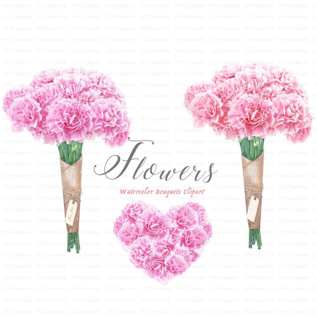 Pink Carnation Watercolor Clipart: Floral Bouquet Collection (PNG ...
