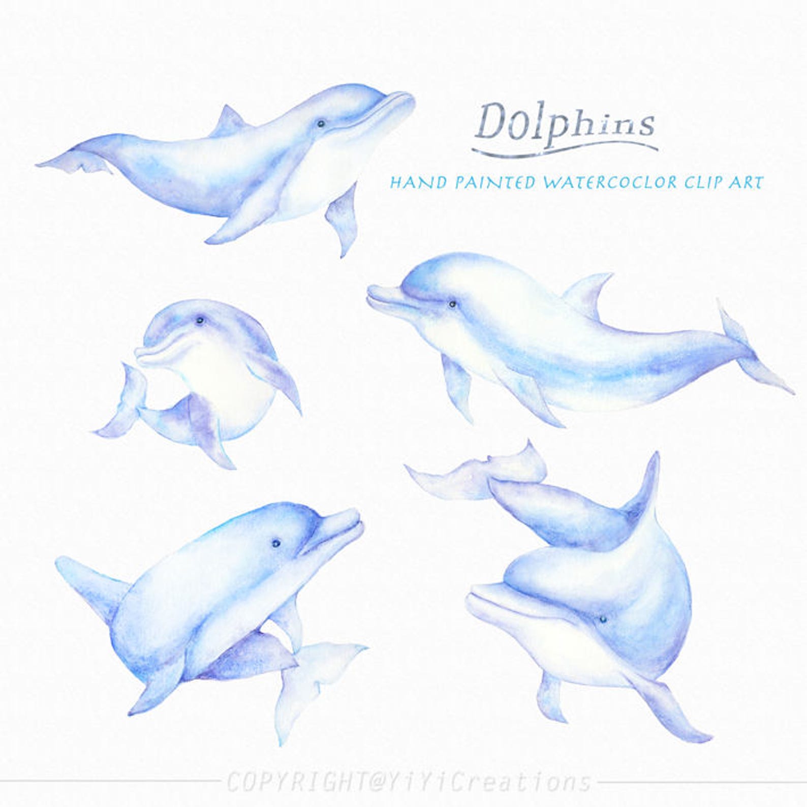 Watercolor Hand Painted Sea Creature-dolphins Clipart Mom and - Etsy