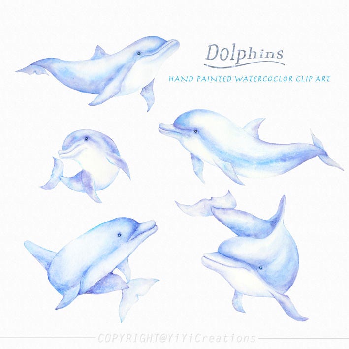 Watercolor Hand Painted Sea Creature-dolphins Clipart Mom and - Etsy