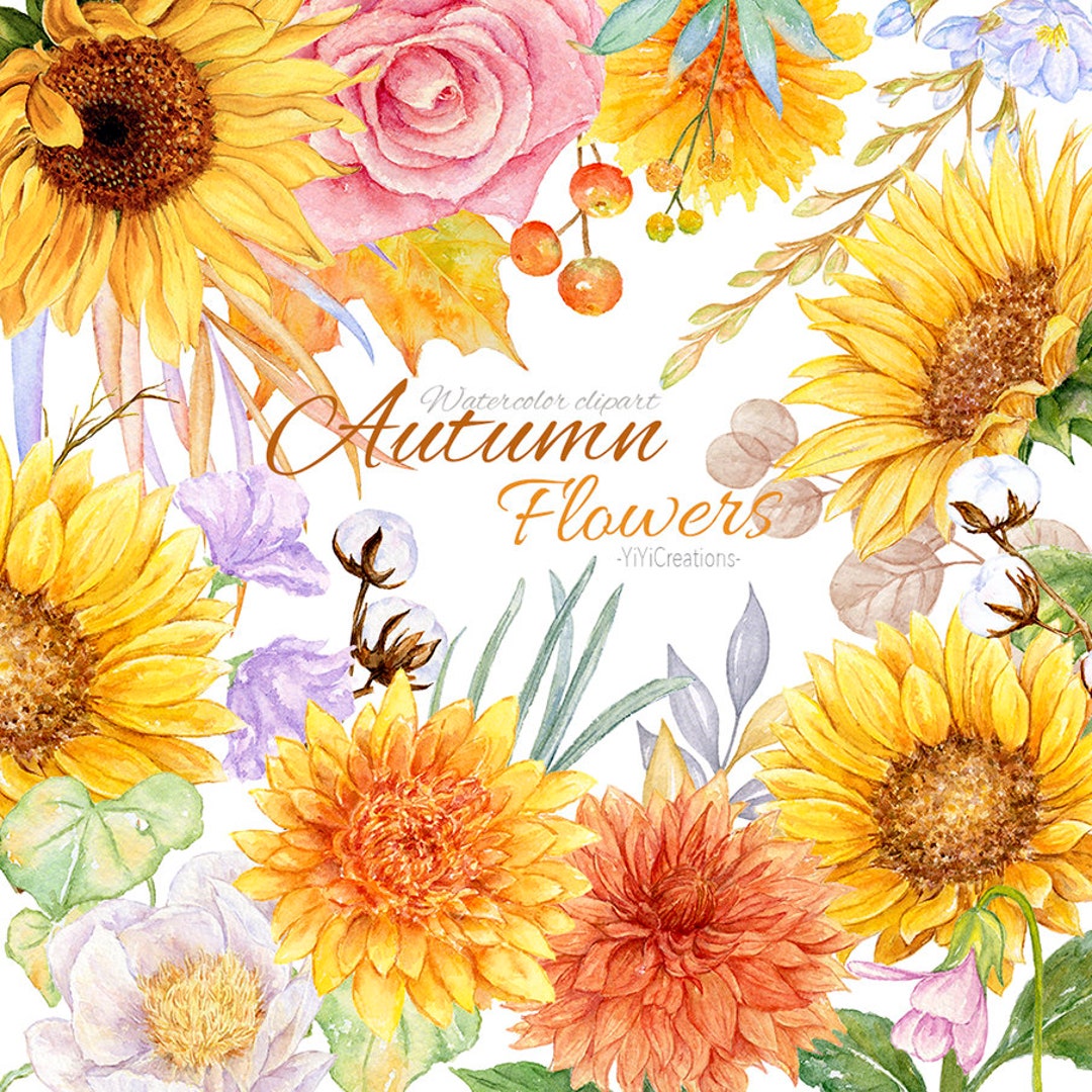 Watercolor Autumn Flower Clipart: Sunflower, Dahlia, Rose (digital ...