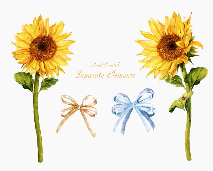 Sunflower Watercolor Clipart Rustic Fall Flower Vibrant - Etsy