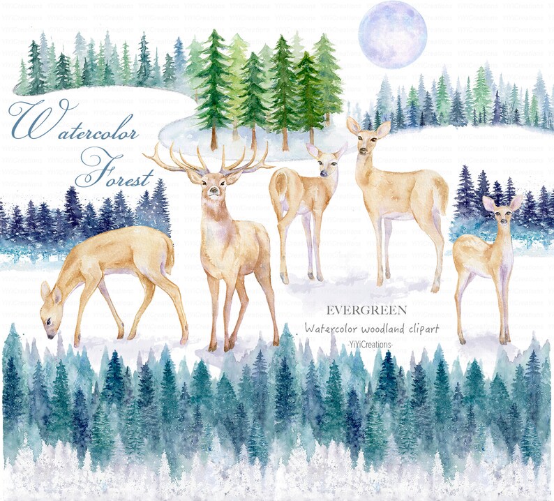 Watercolor Forest Landscape Clipart Winter Woodland Download - Etsy