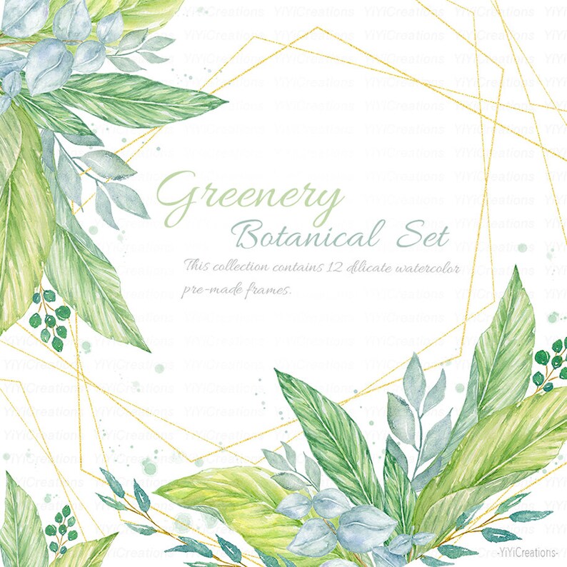 Watercolor Botanicals Clipart Collection Green Leaves - Etsy