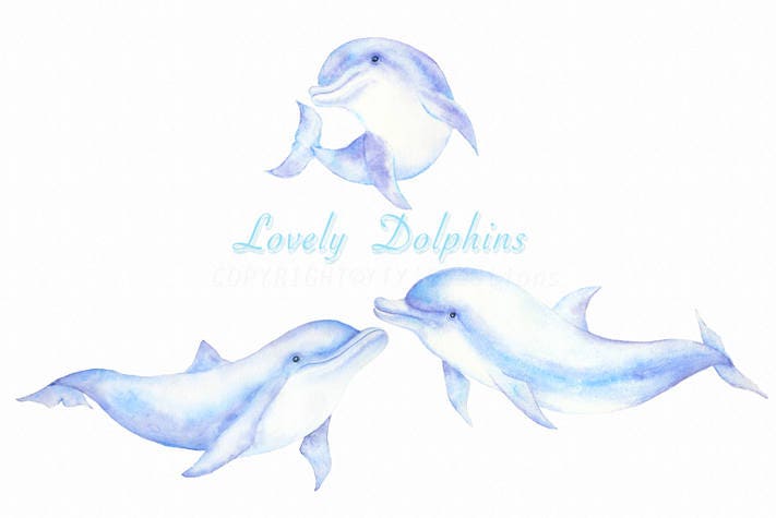 Watercolor Hand Painted Sea Creature-dolphins Clipart Mom and - Etsy