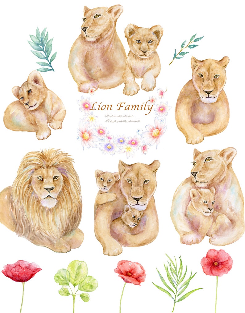 Watercolor Lion Family Clipart Mother and Babies Printable - Etsy