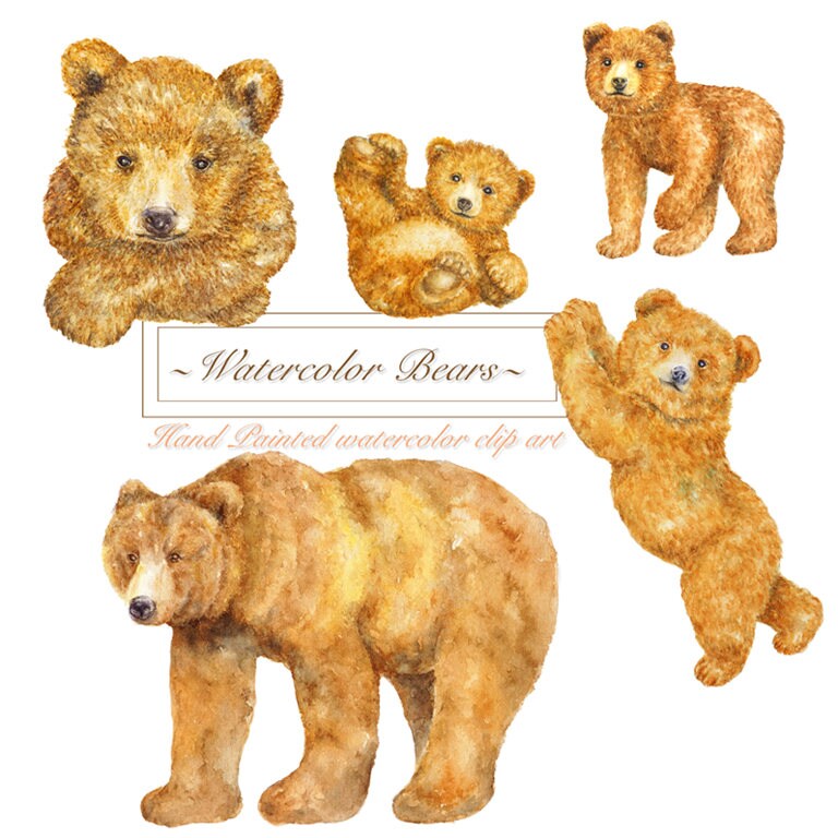 Watercolor Forest Brown Bear Clipart, Woodland Animal, Love Family Mama ...