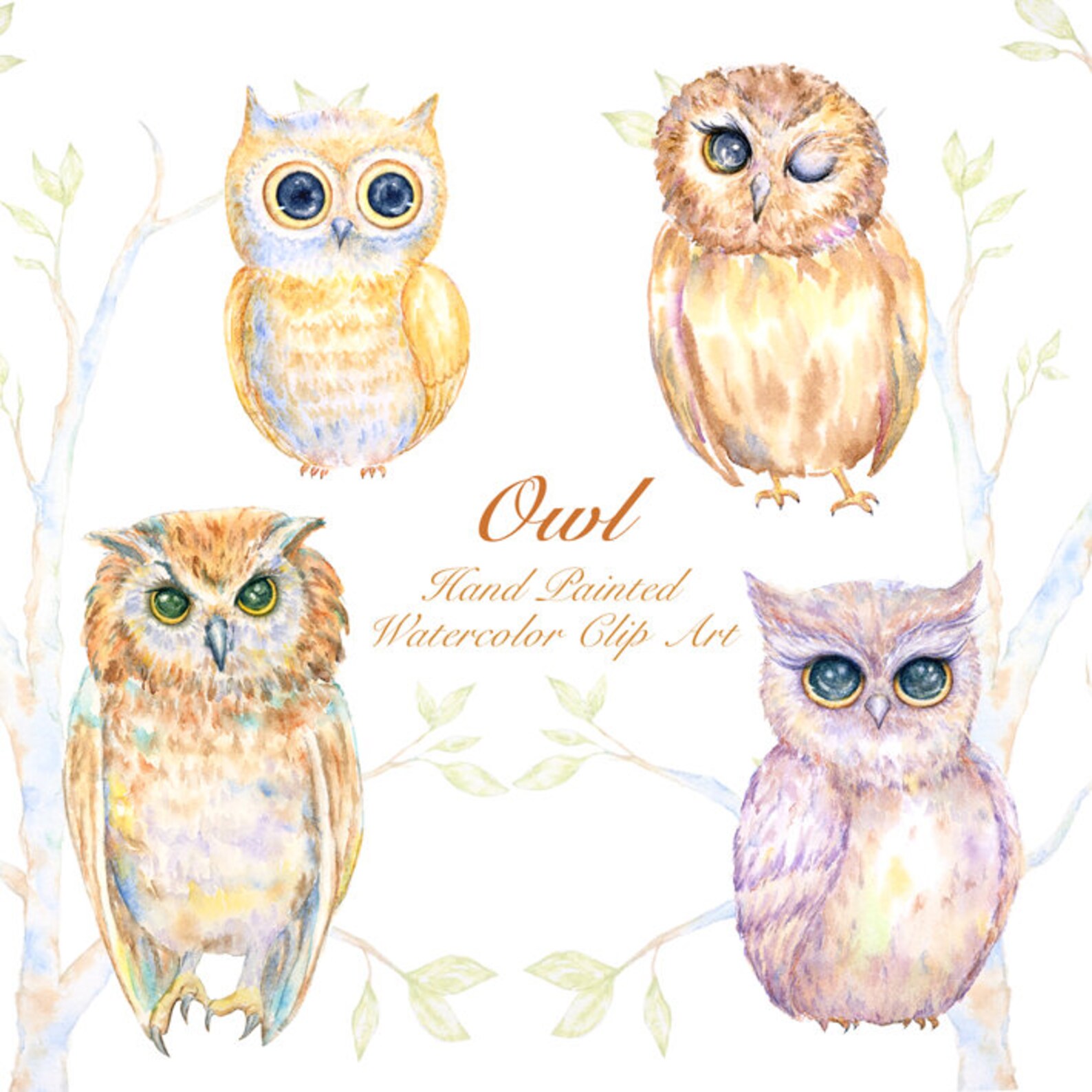 Watercolor Owl Clipart Woodland Illustration Hand Painted - Etsy