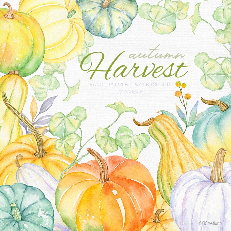 Pumpkin and Floral. Watercolor Fall Clipart Harvest - Etsy