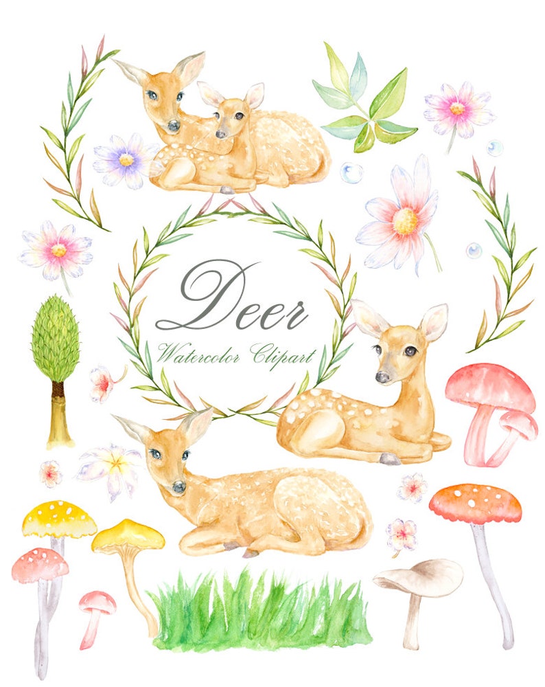 Woodland Deers Clipart Watercolor Forest Animal Mommy and - Etsy