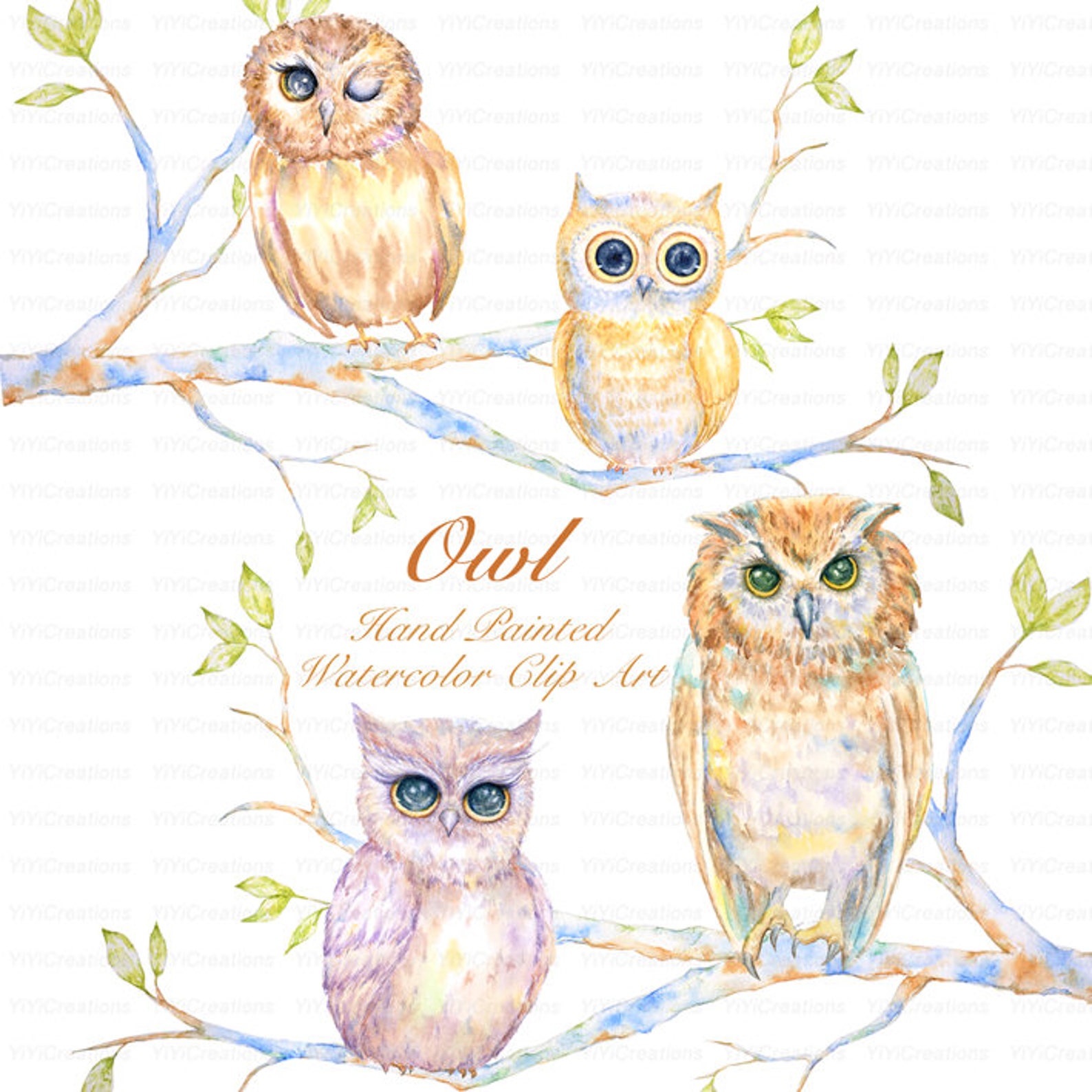 Watercolor Owl Clipart Woodland Illustration, Hand Painted Owls Family ...