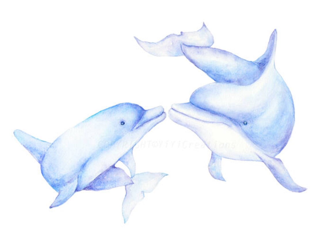 Watercolor Hand Painted Sea Creature-dolphins Clipart Mom and - Etsy