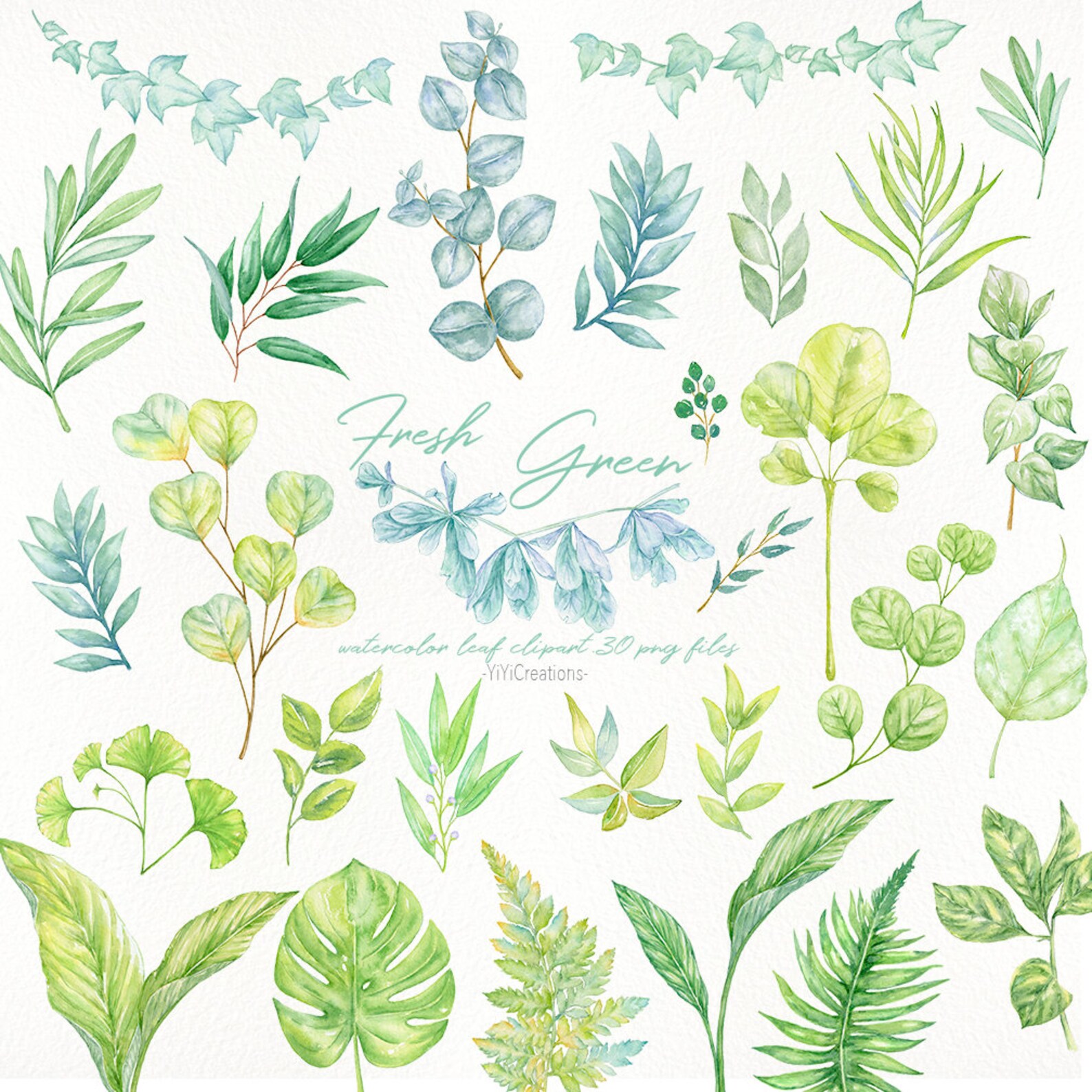 Nature digital clipart Watercolor leaves Clip art Greenery | Etsy