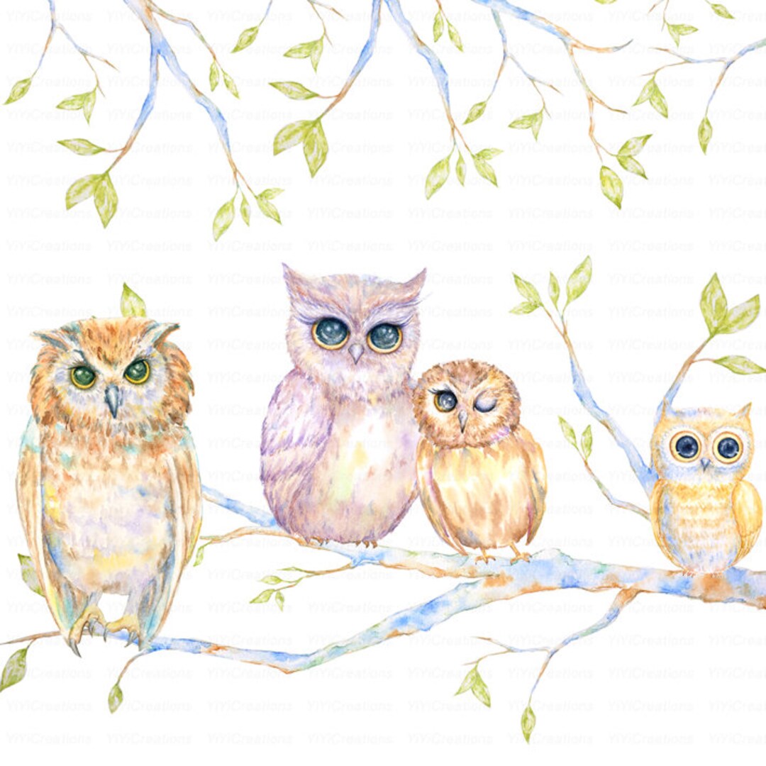 Watercolor Owl Clipart Woodland Illustration, Hand Painted Owls Family ...