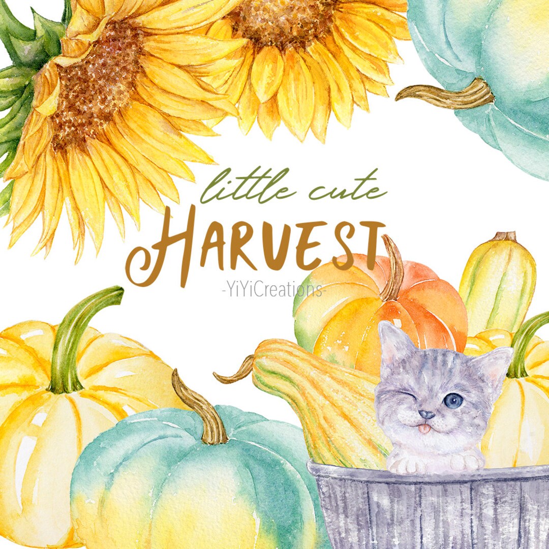 Bright Sunflower Harvest Clipart Set, Seasonal Fall Graphic, Watercolor ...