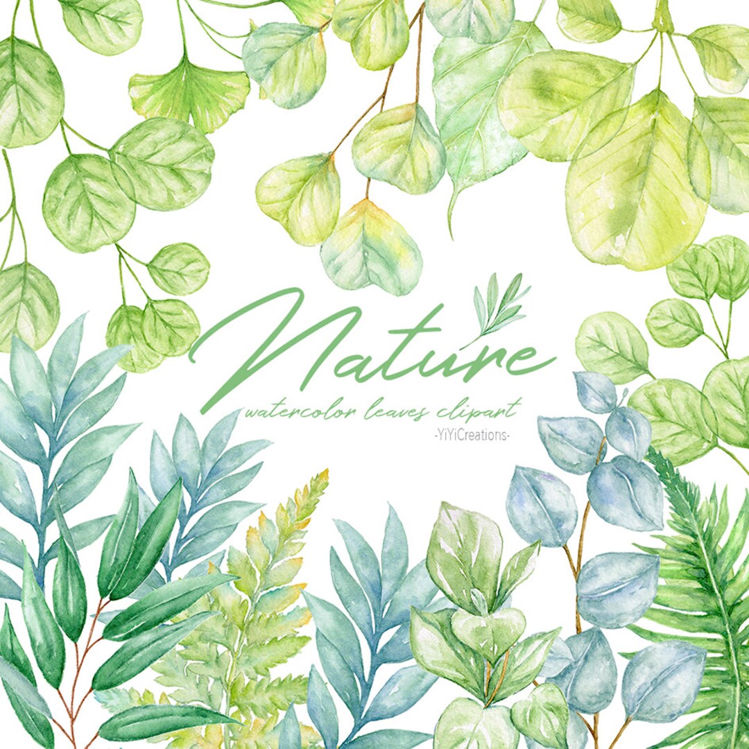 Watercolor Greenery Clipart: Eucalyptus & Leaf Set (PNG Digital ...