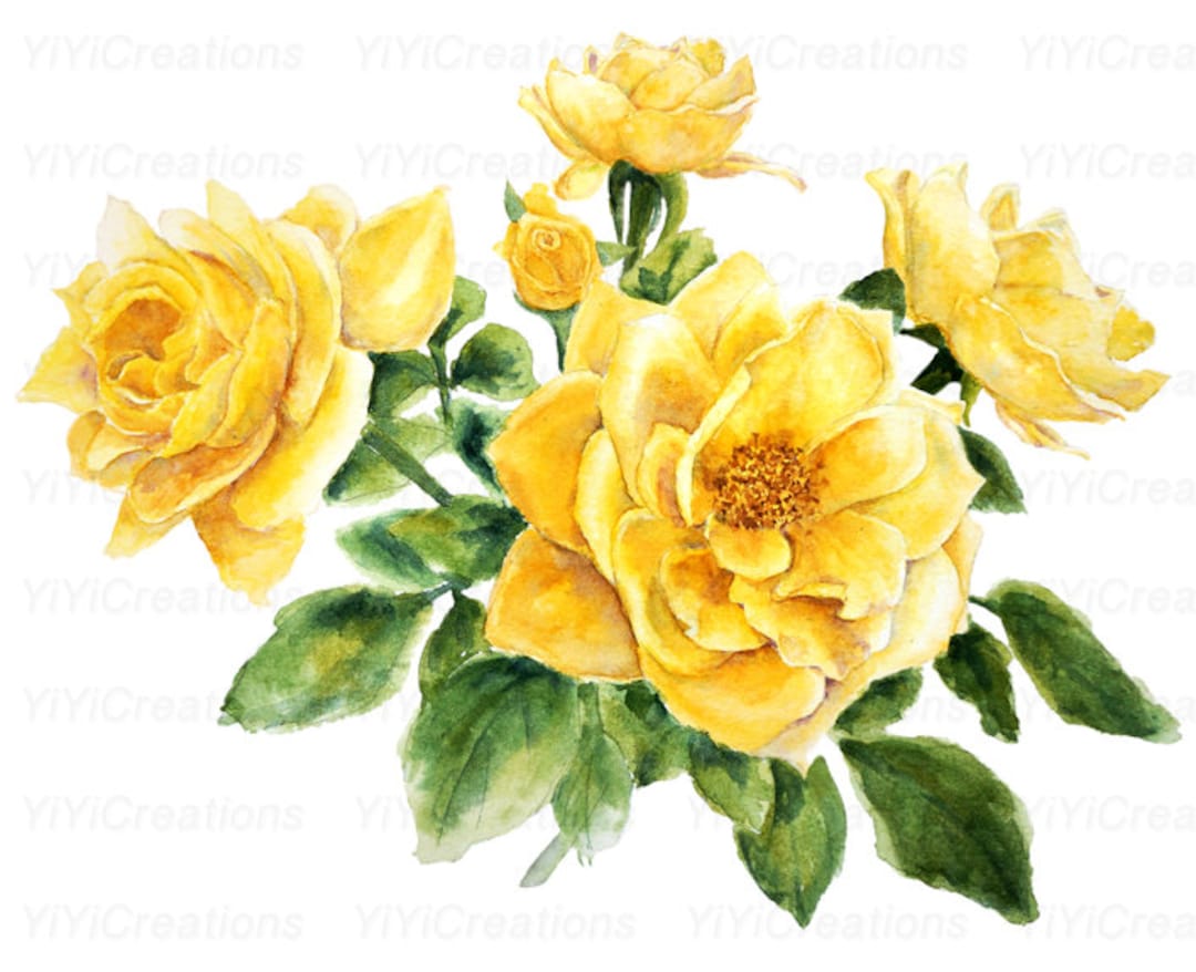 Watercolor Yellow Rose Clipart, Hand Painted Flower in Mason Jar ...