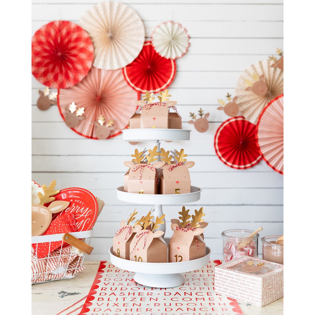 Reindeer Advent Boxes 12ct, Christmas Countdown Kit, 12 Days of ...