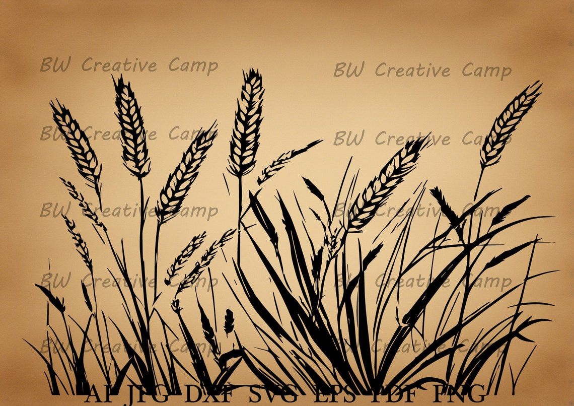 Vector Ear of Wheat AI Jpg Dxf Svg Eps Pdf Png - Etsy