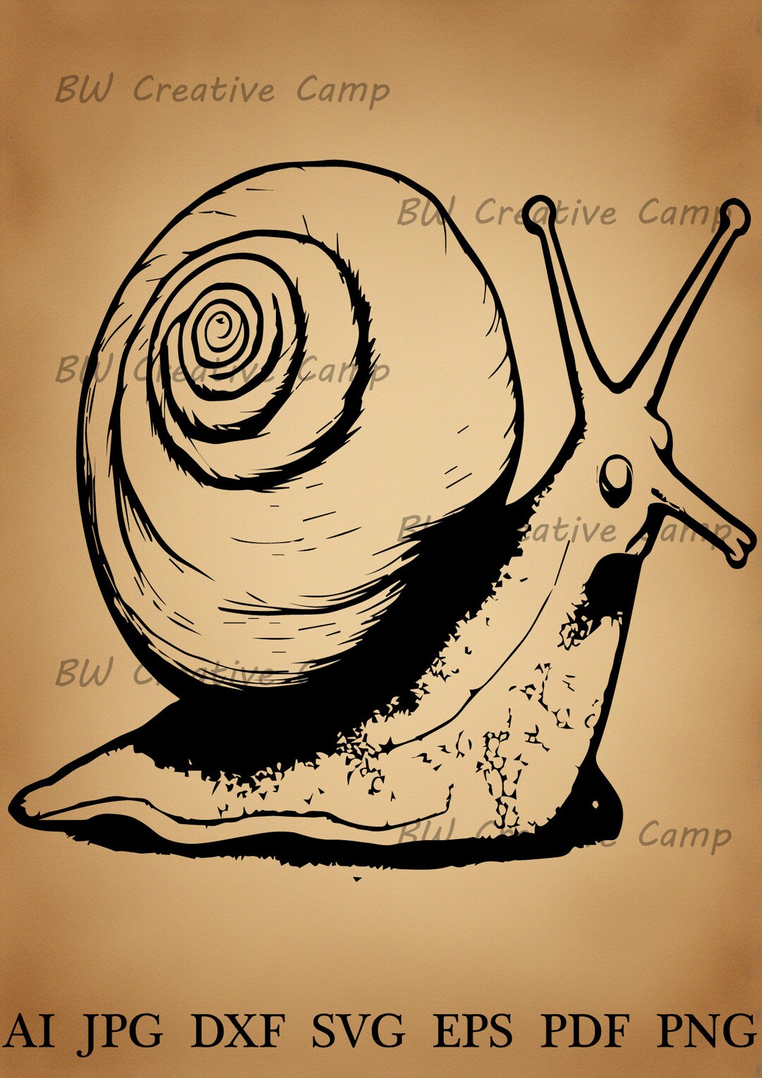 Vector Snail, AI, Jpg, Dxf, Svg, Eps, Pdf, Png Download, Digital Image ...