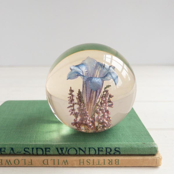 Embedded Lucite - Etsy