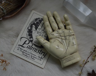 Palmistry Kit - Etsy